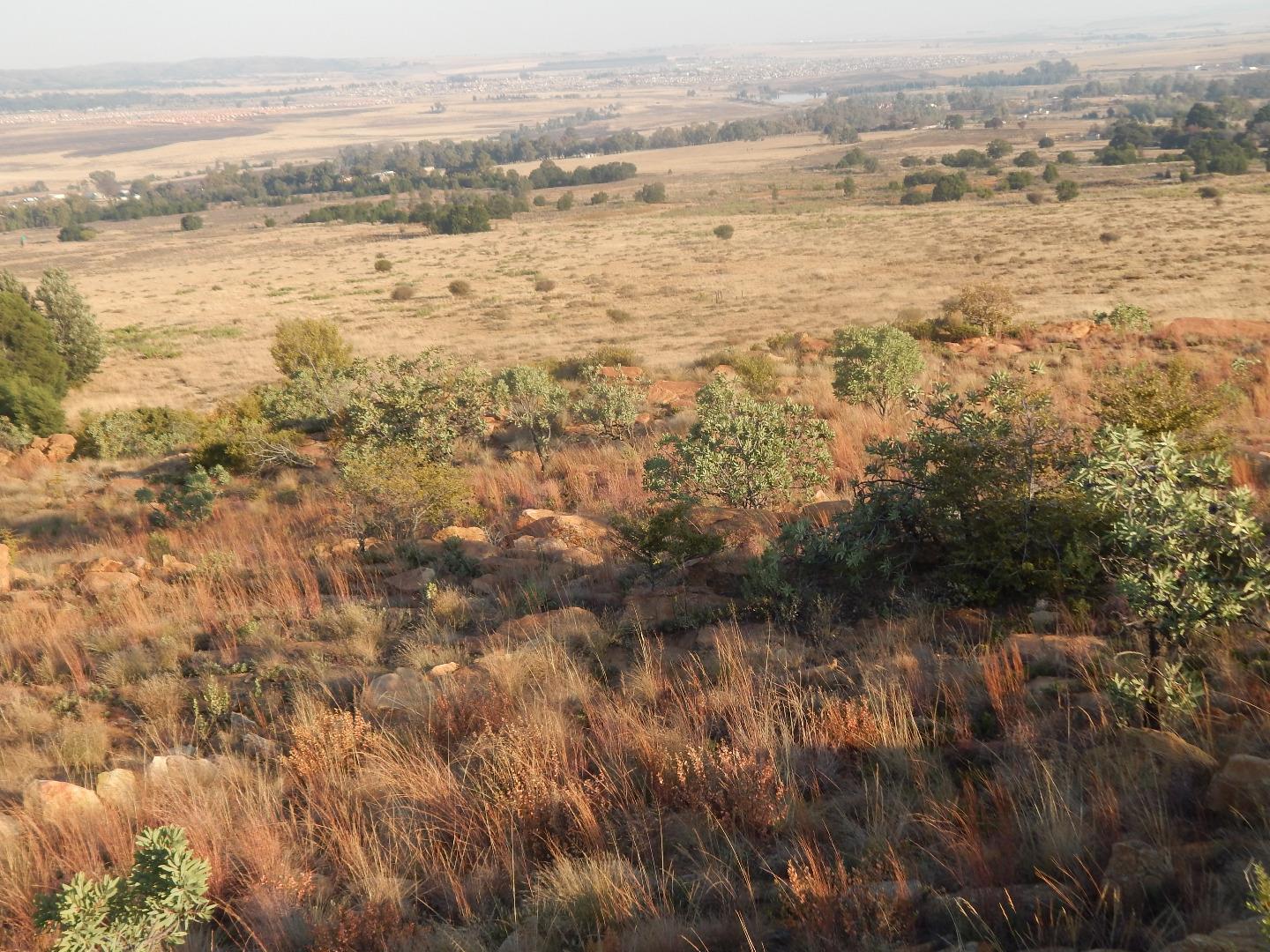 Vacant Land for Sale in Boschfontein, Heidelberg - 177054
